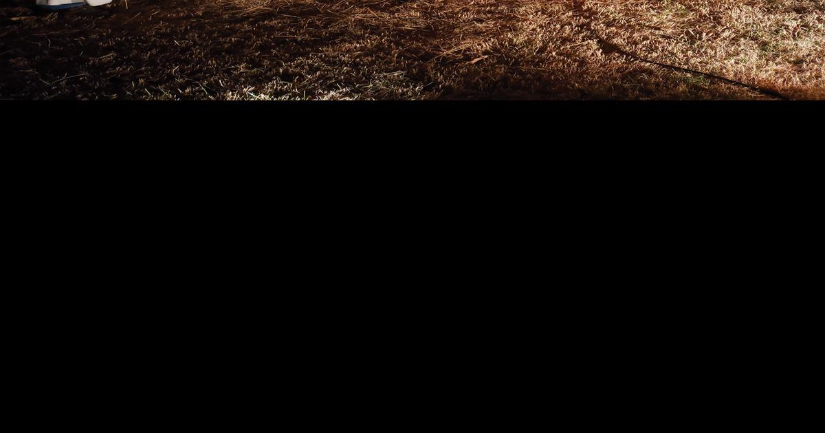 Live Nativity draws public for Christmas story and songs | Arts ...