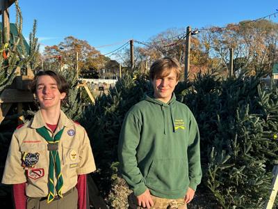Boy Scouts selling Christmas trees at Mariners | Lifestyle ...