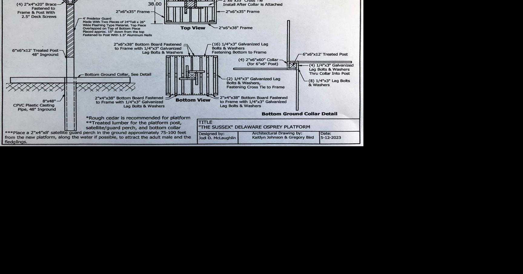 Osprey nesting platforms get a little help | Education | coastalpoint.com