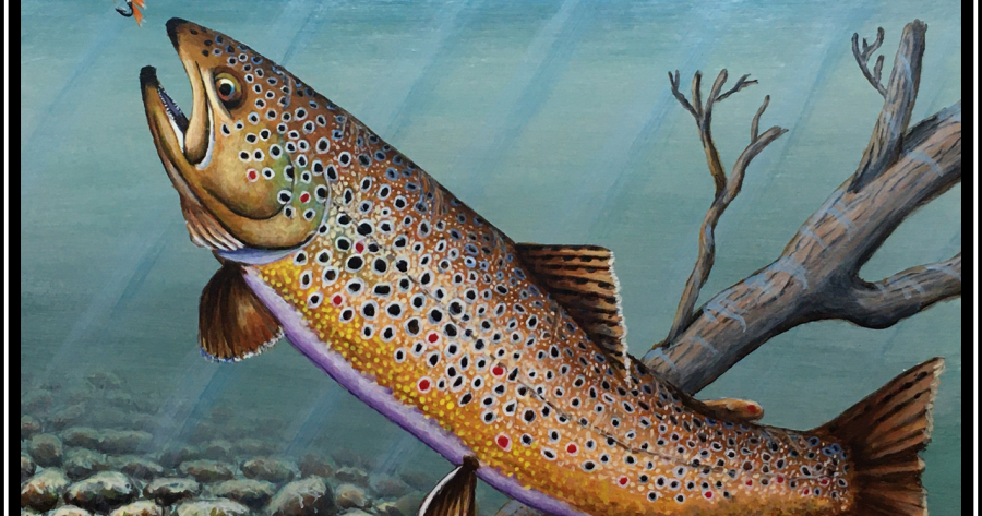 Delaware Waterfowl Stamp, Trout Stamp art contest winners announced ...