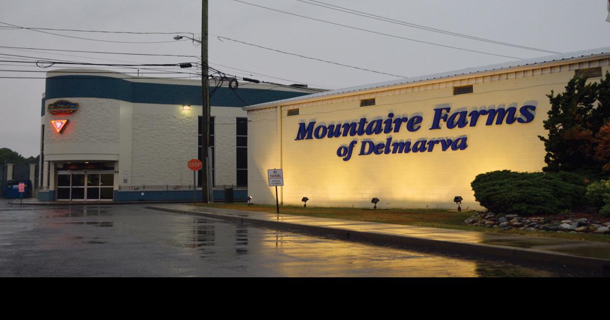 Mountaire expands Farm to Table Scholarship program | Education ...