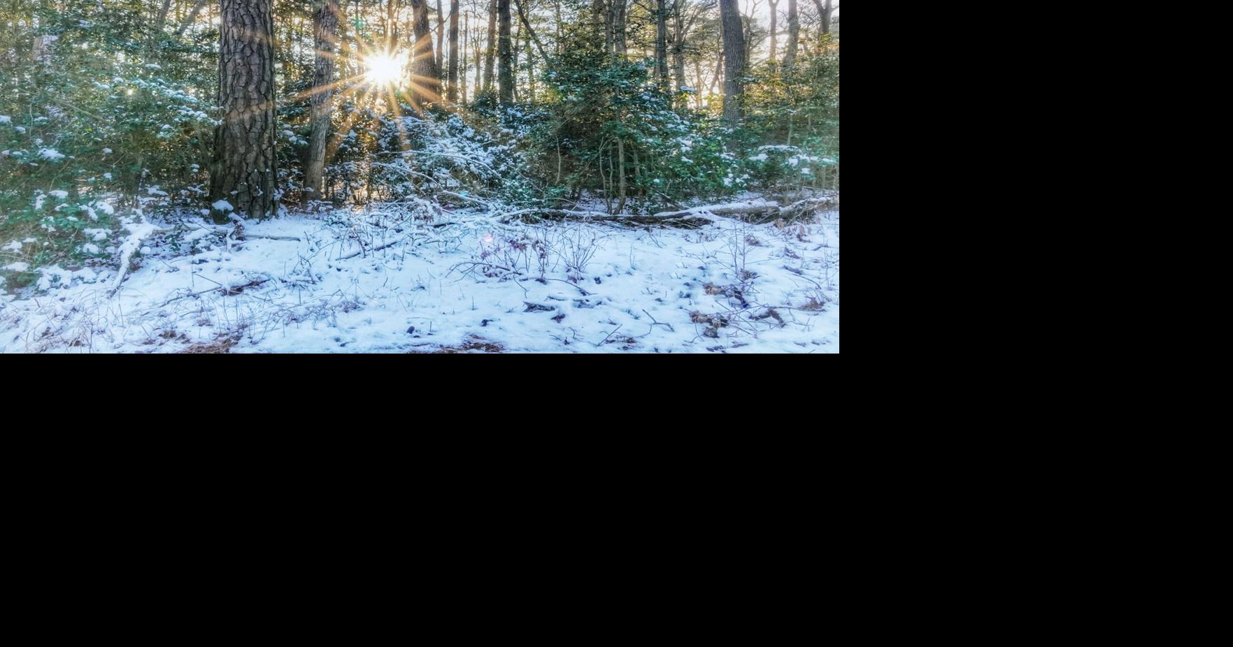 Let Your Light Shine | Point Pics | coastalpoint.com