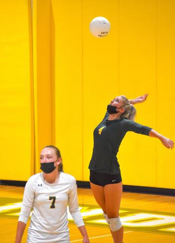 IR, Smyrna student-athletes honored by Women of Will | Sports ...