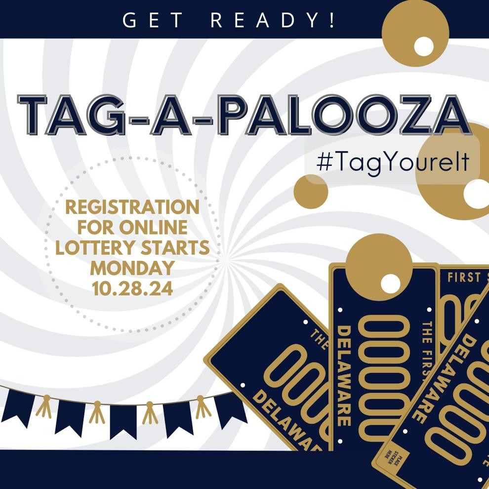 Registration begins for DMV’s low-digit tag lottery | State ...