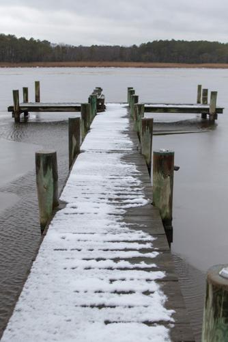 Mini-winter wonderland | | coastalpoint.com