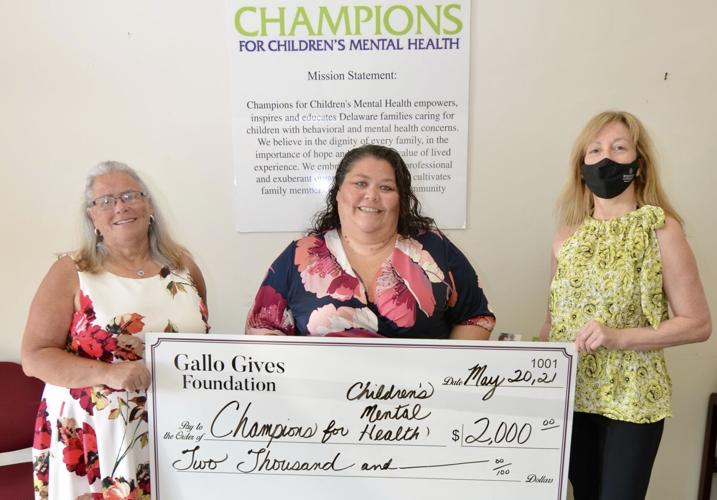 Gallo Gives Foundation awards community donations | Real Estate ...