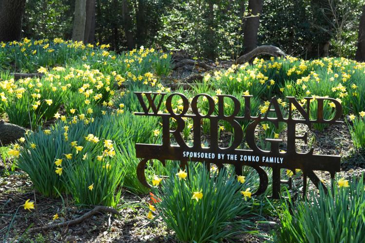 Delaware Botanic Gardens opens gates for season | Point Pics ...