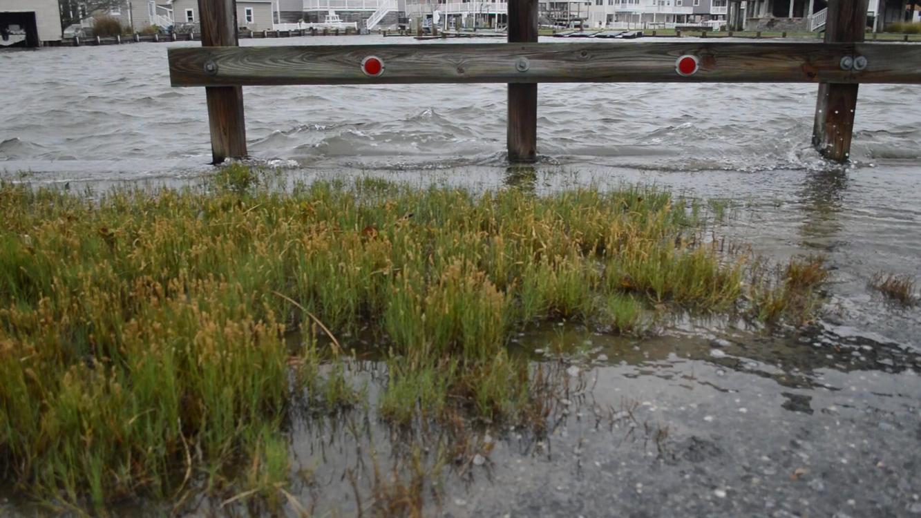 October 2025 nor'easter | Point Pics | coastalpoint.com