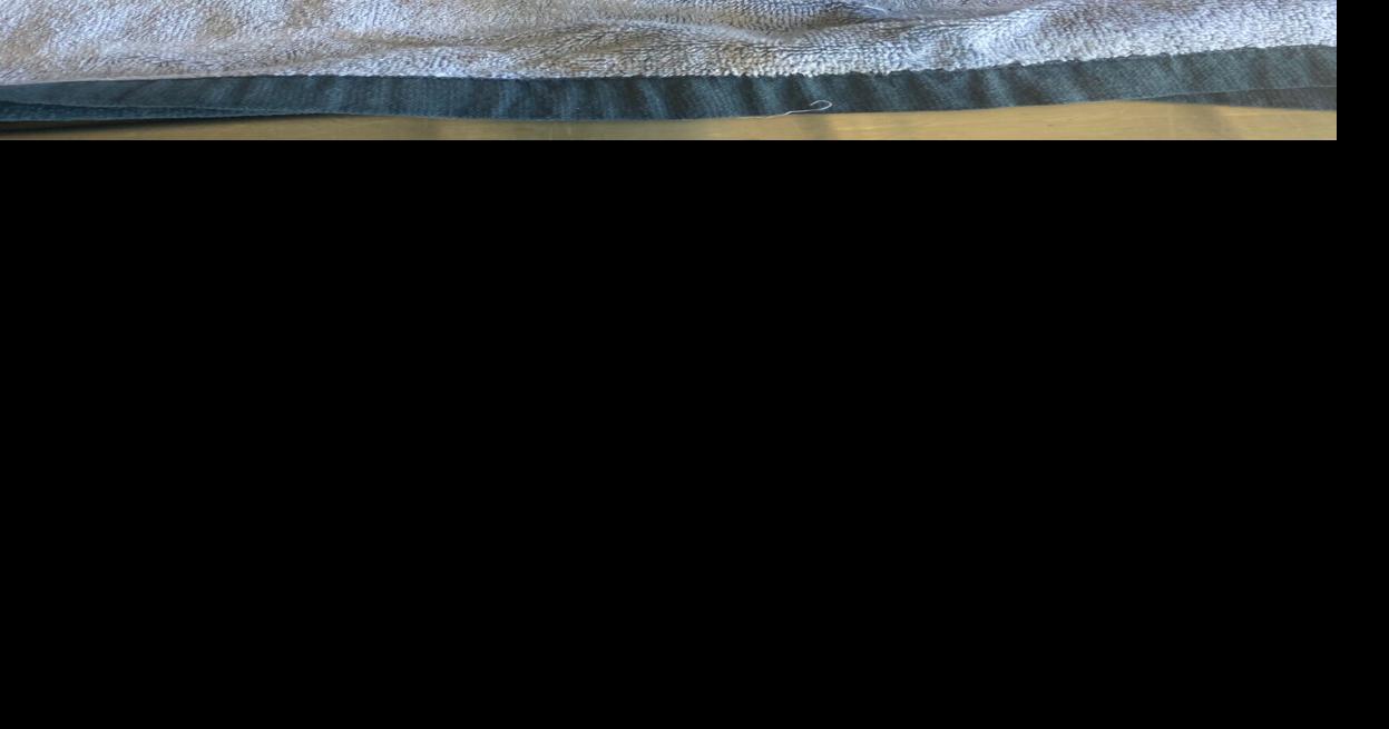 MERR rescues injured juvenile sea turtle | Green | coastalpoint.com