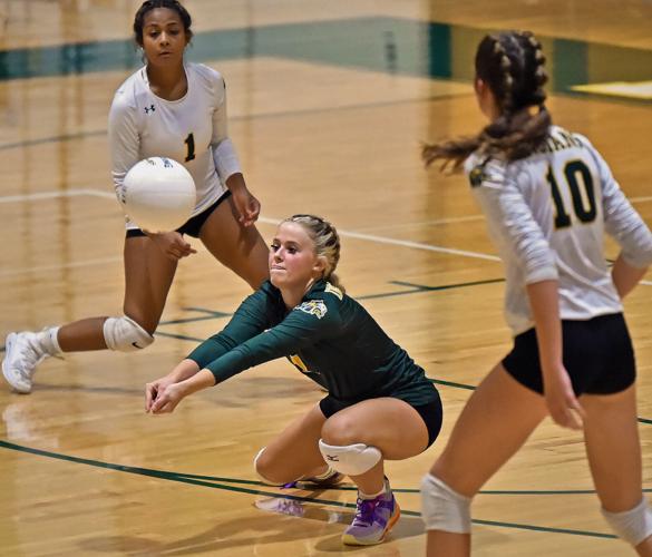 Volleyball standout Wilkins commits to Notre Dame of Maryland | Sports ...