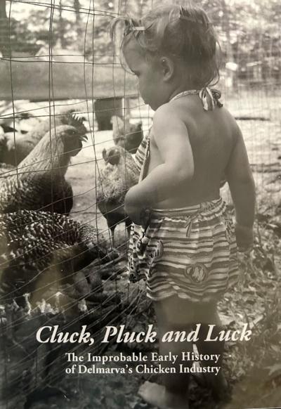 Chicken industry film to be shown April 19 in Ocean View | Lifestyle ...