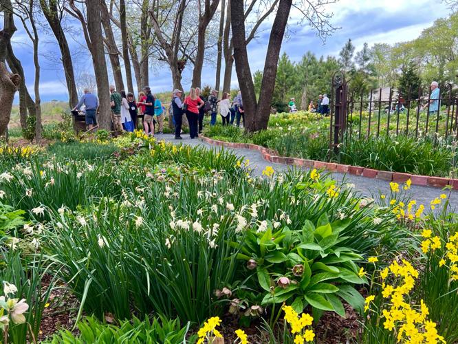 Frolic in the Folley | Point Pics | coastalpoint.com