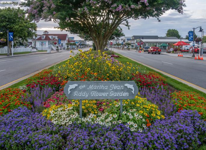 coastalpoint.com | The Local Voice of Your Community