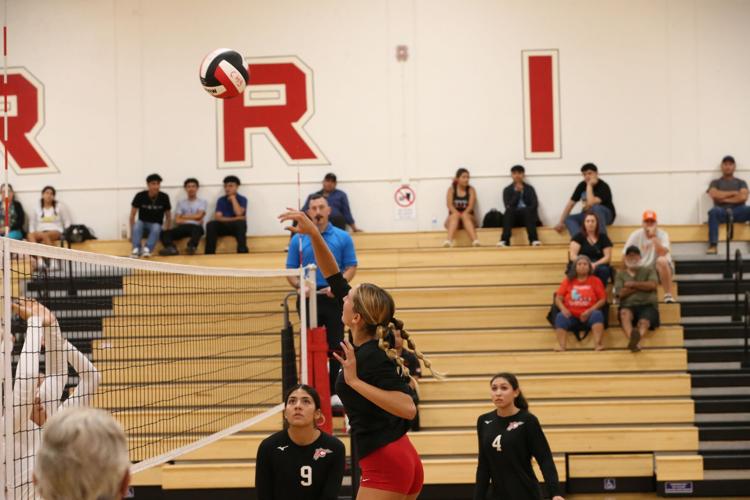 Carpinteria girls volleyball in mid-season form | Sports | coastalview.com