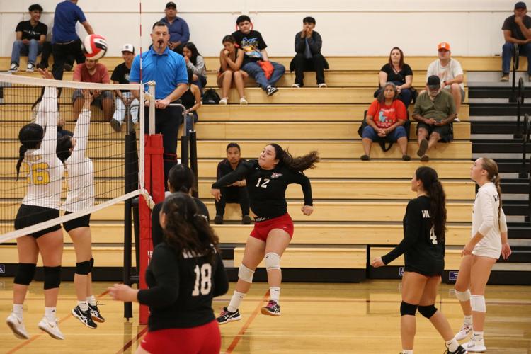 Carpinteria girls volleyball in mid-season form | Sports | coastalview.com