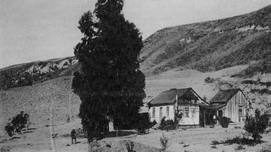 Growing up Gaynor | News | coastalview.com