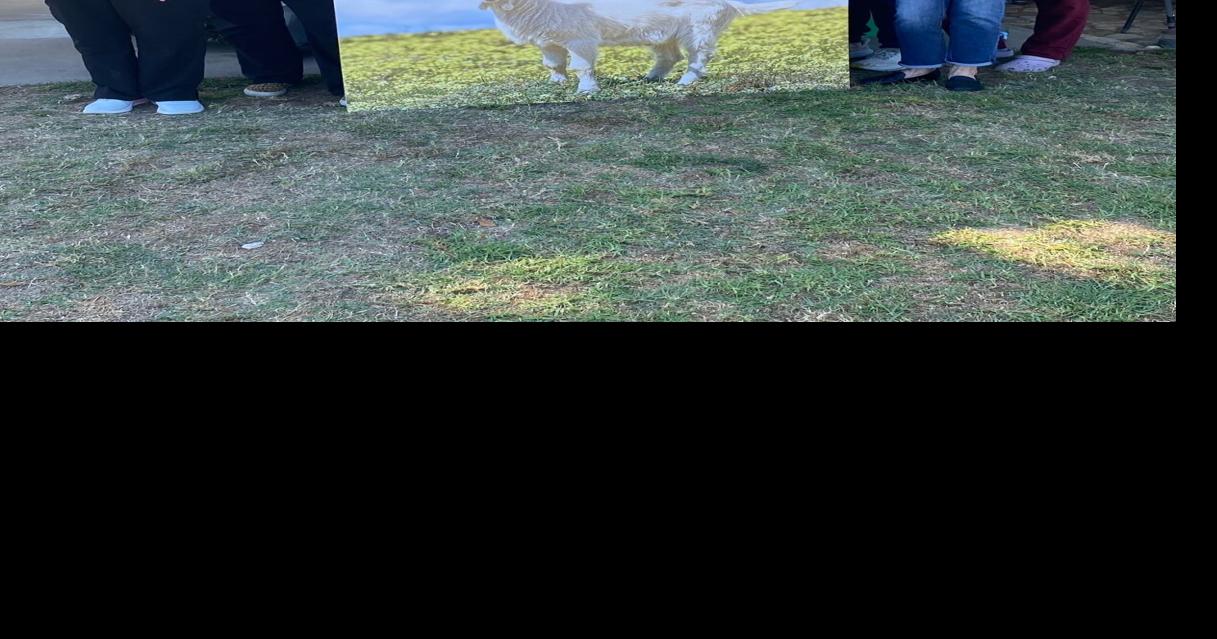 Noon Rotary, local vets donate goats through Heifer International ...
