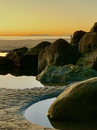 Zookers hosts Amie Rodriguez exhibition | Arts & Entertainment ...