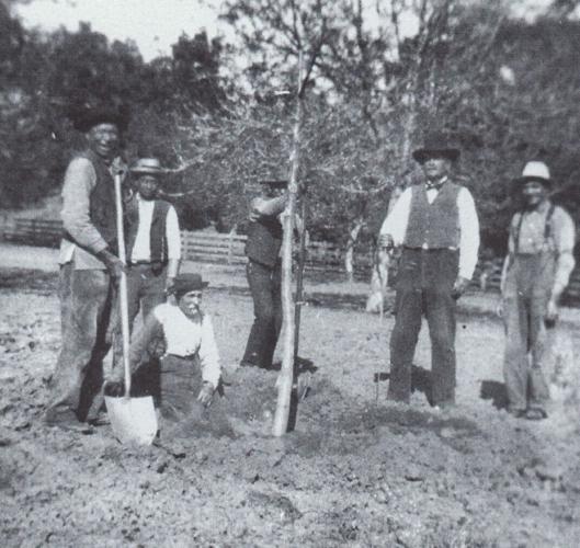 The Chinese presence in Carpinteria | News | coastalview.com