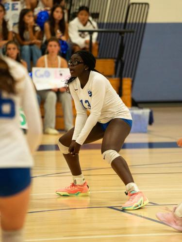 Local girls volleyball teams shine in playoffs | Sports | coastalview.com