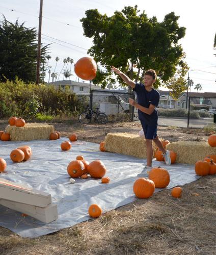 Carpinterians say goodbye to pumpkins with a smash | News | coastalview.com
