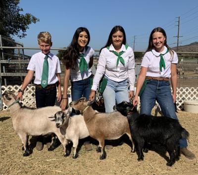 4-H announces new officer team | News | coastalview.com