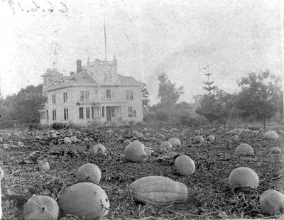 Have you heard of the Higgins House? | News | coastalview.com