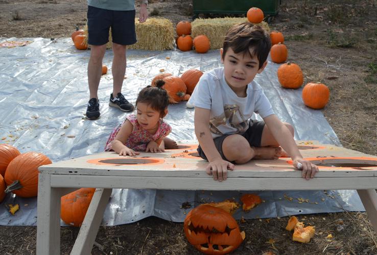 Carpinterians say goodbye to pumpkins with a smash | News | coastalview.com