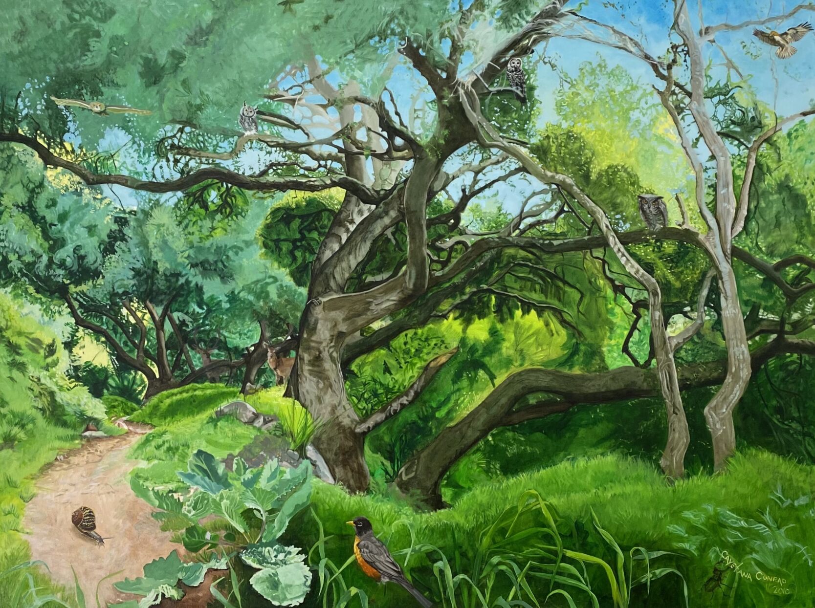 Tani Conrad displays nature portraits at Zookers | Arts & Entertainment ...
