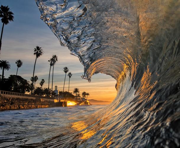 John Baran’s artistic journey: California’s coast, nature and wildlife ...
