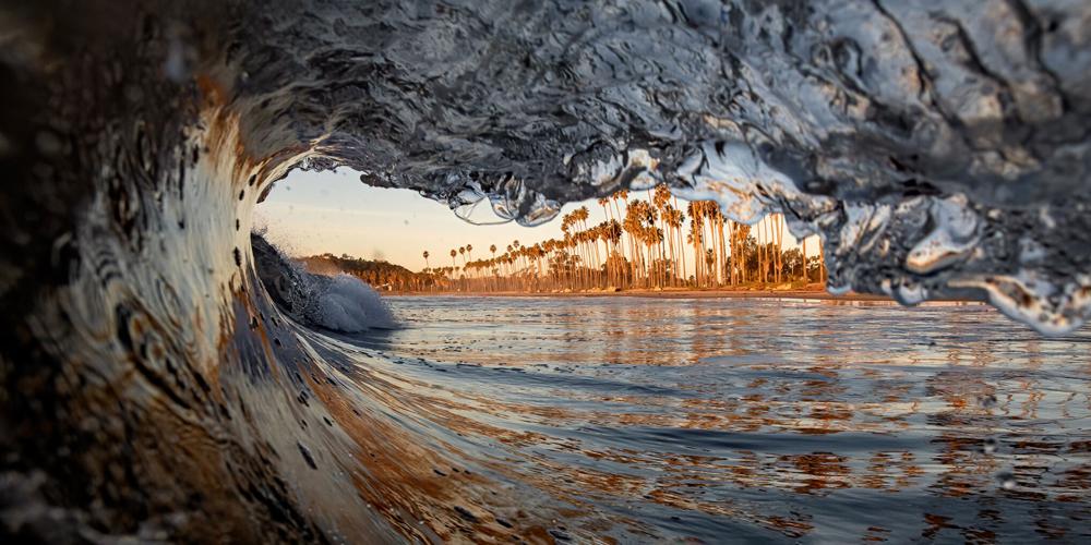 John Baran’s artistic journey: California’s coast, nature and wildlife ...