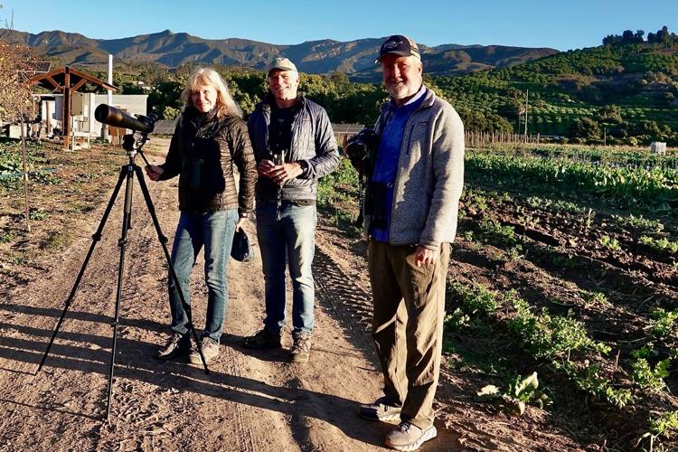 What’s missing? | News | coastalview.com