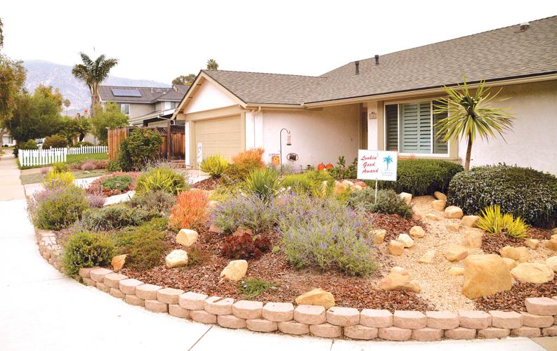 Grafs win Carpinteria Beautiful’s October “Looking Good” award | News ...