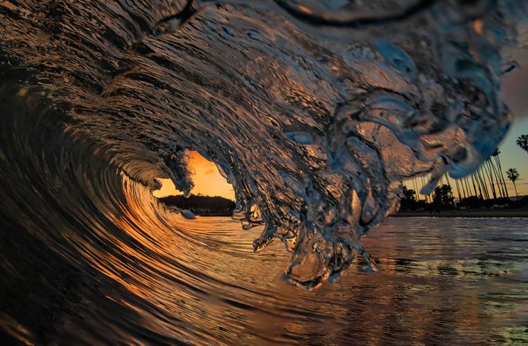 John Baran’s artistic journey: California’s coast, nature and wildlife ...