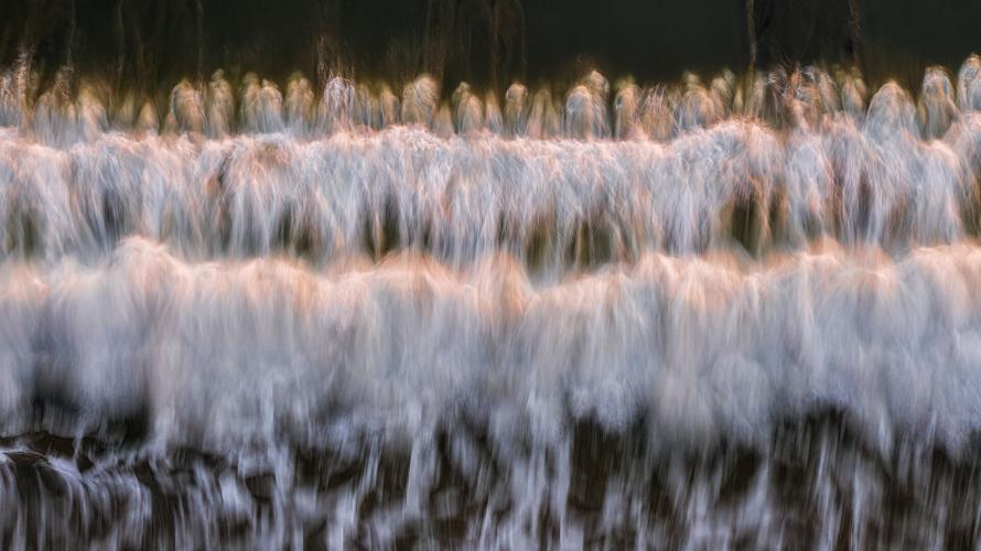John Baran’s artistic journey: California’s coast, nature and wildlife ...