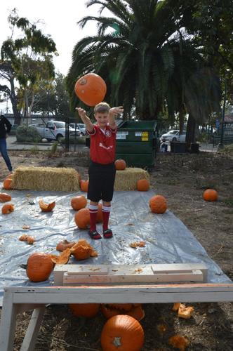 Carpinterians say goodbye to pumpkins with a smash | News | coastalview.com