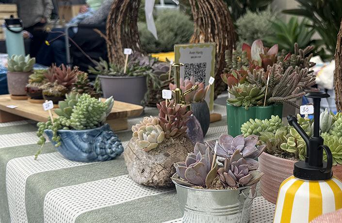 Aven’s Botanicals flourishes at local pop-ups | Business | coastalview.com