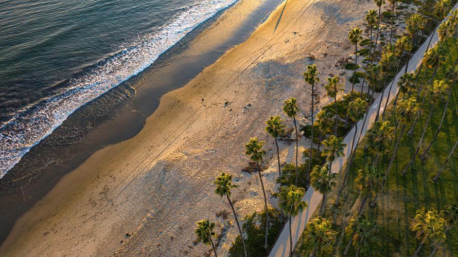 John Baran’s artistic journey: California’s coast, nature and wildlife ...