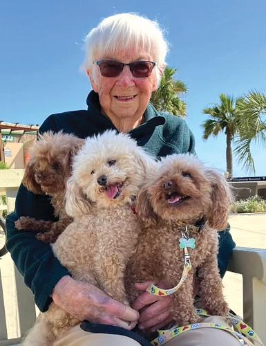 Nancy C. Haviland | Obituaries | coastalview.com