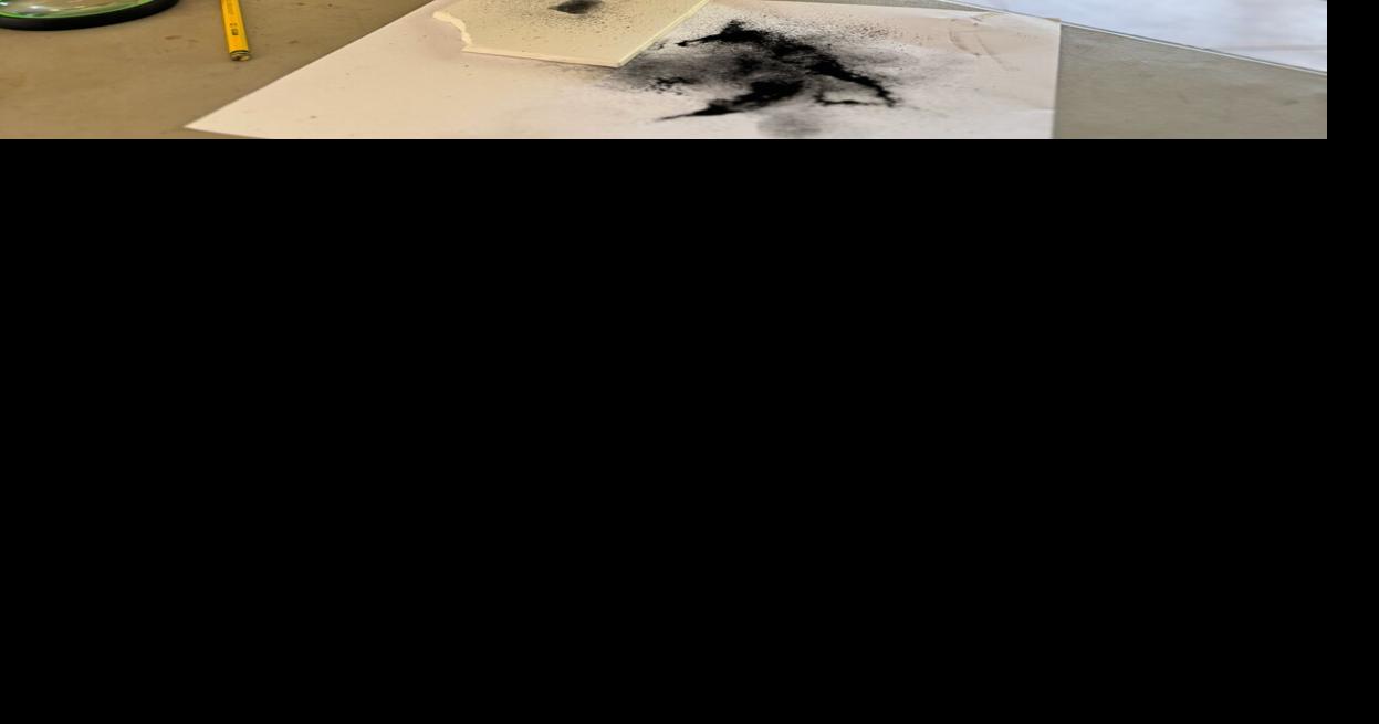 Howard students participate in forensics-themed science lab | News ...