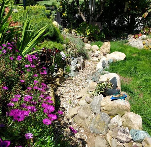 Carpinteria environmental scientist is WaterWise contest winner | News ...