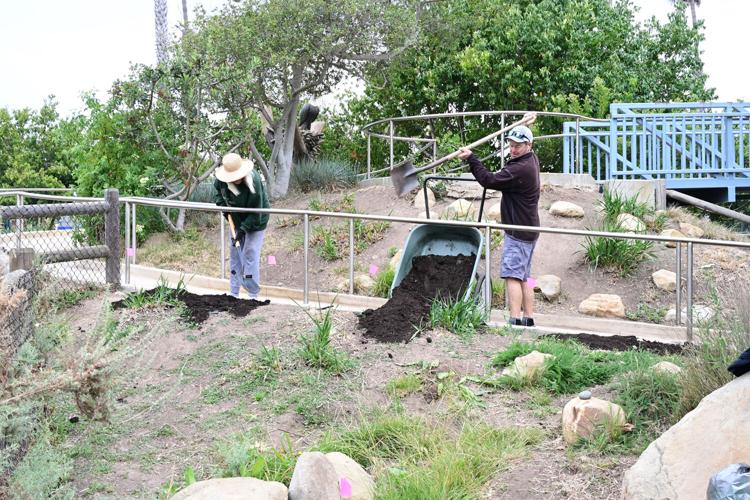 Volunteers beautify Tomol Interpretive Play Area | News | coastalview.com