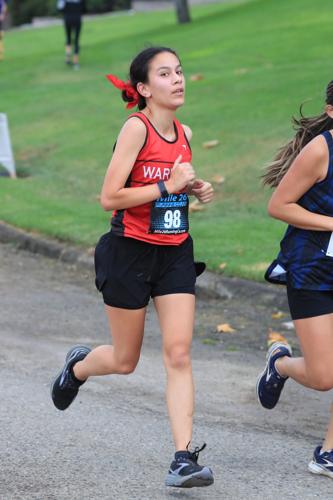 Carpinteria Cross Country off to the races | Sports | coastalview.com