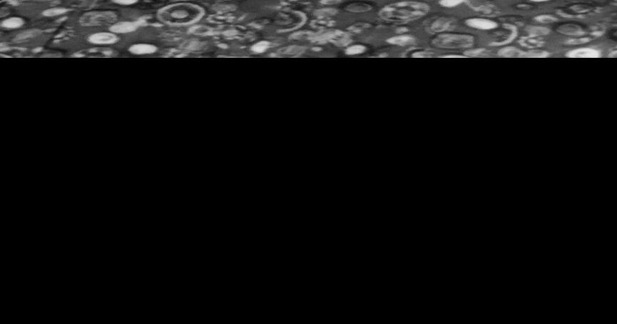 Barbara Elizabeth Jaques Winneguth McCurry | Obituaries | coastalview.com