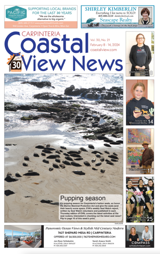 A biography of Rincon Point’s iconic photo | News | coastalview.com