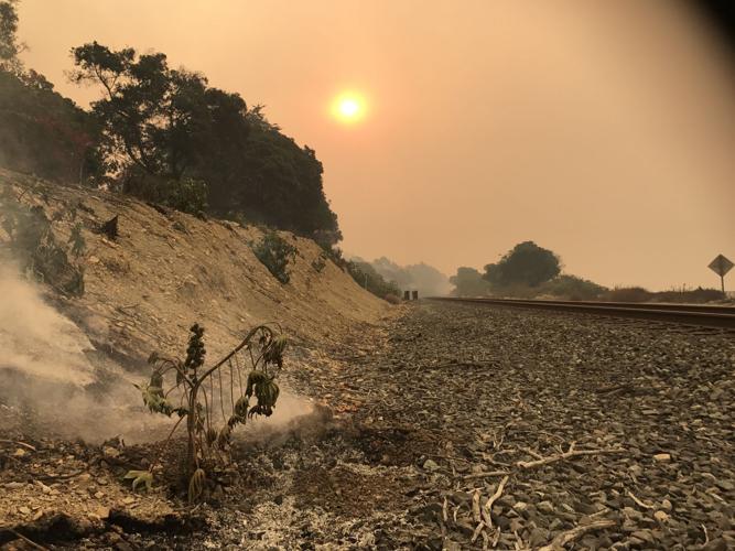 Thomas Fire knocks on Carpinteria's door | News | coastalview.com