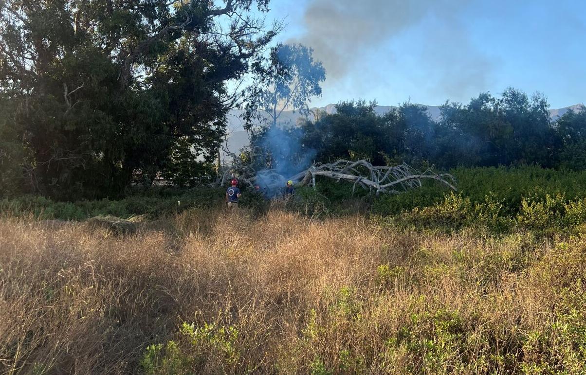 Small fire extinguished in Tar Pits Park | News | coastalview.com