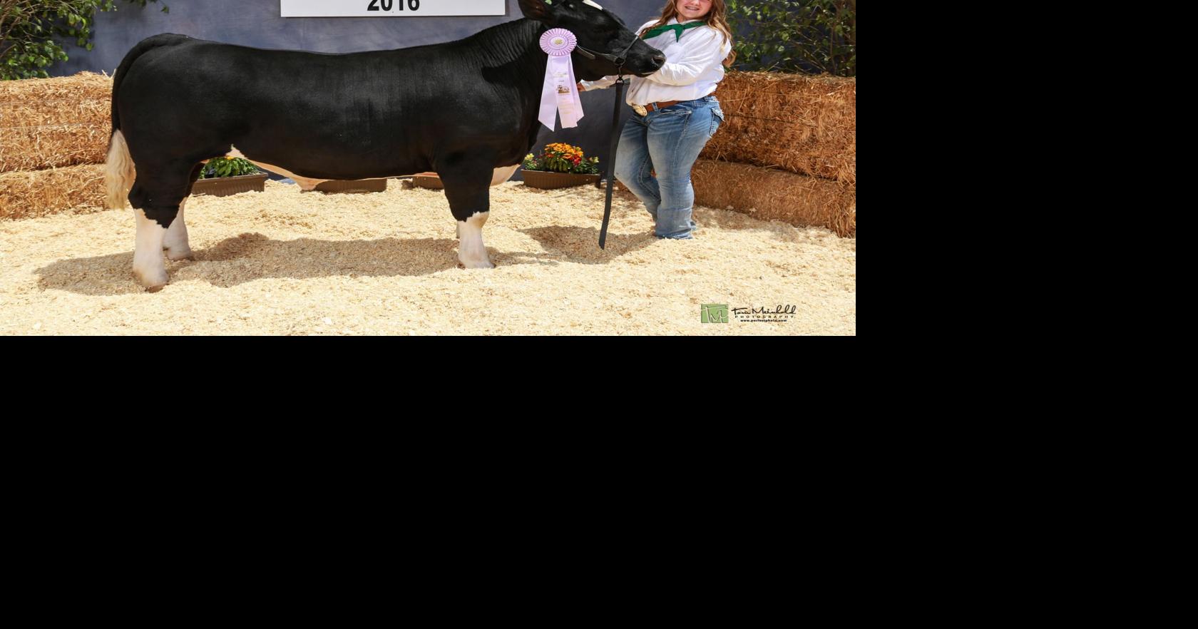 Watkins girls walk away with top awards | News | coastalview.com