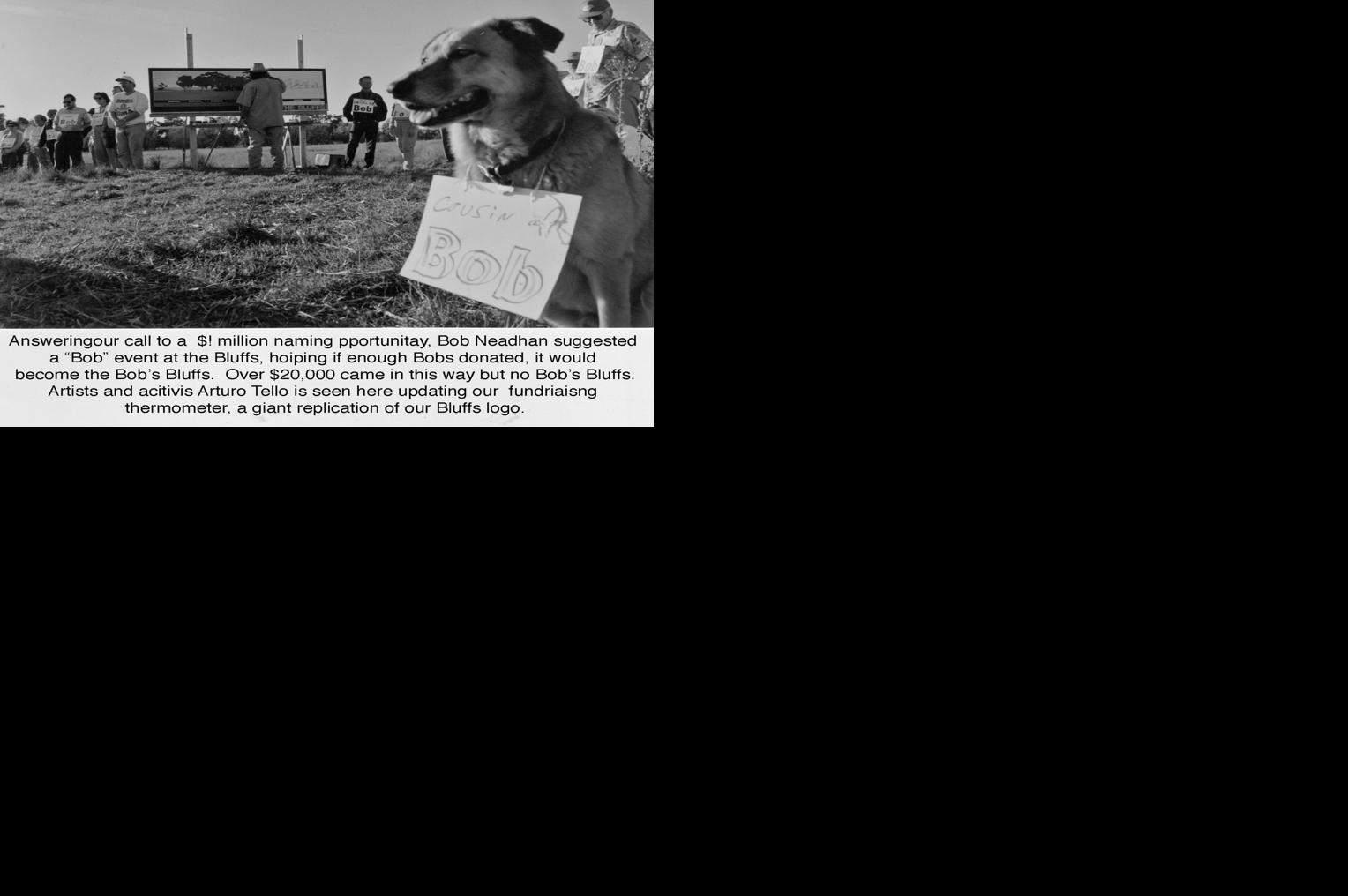 “It was 20 years ago today” –– Honoring the grassroots movement that ...