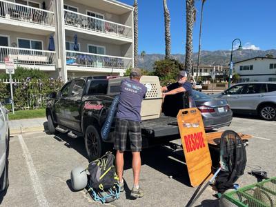 Seal rescued at First Beach | News | coastalview.com